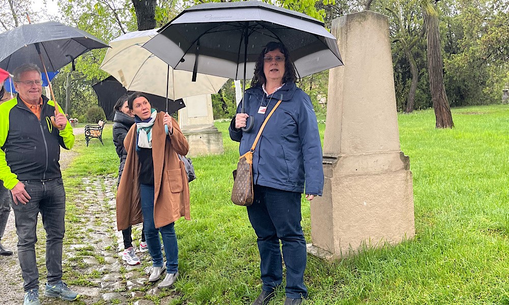 Dr.Riedler Marx | AMKO